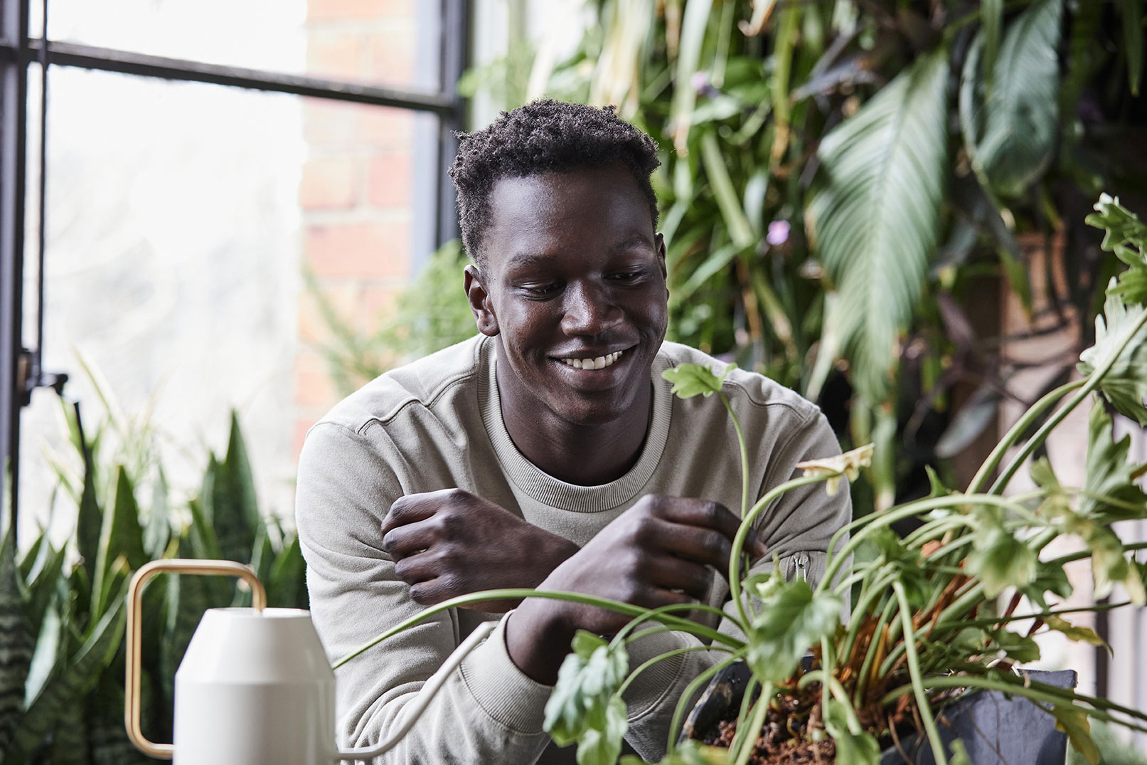 Discover Home - Home Apartments