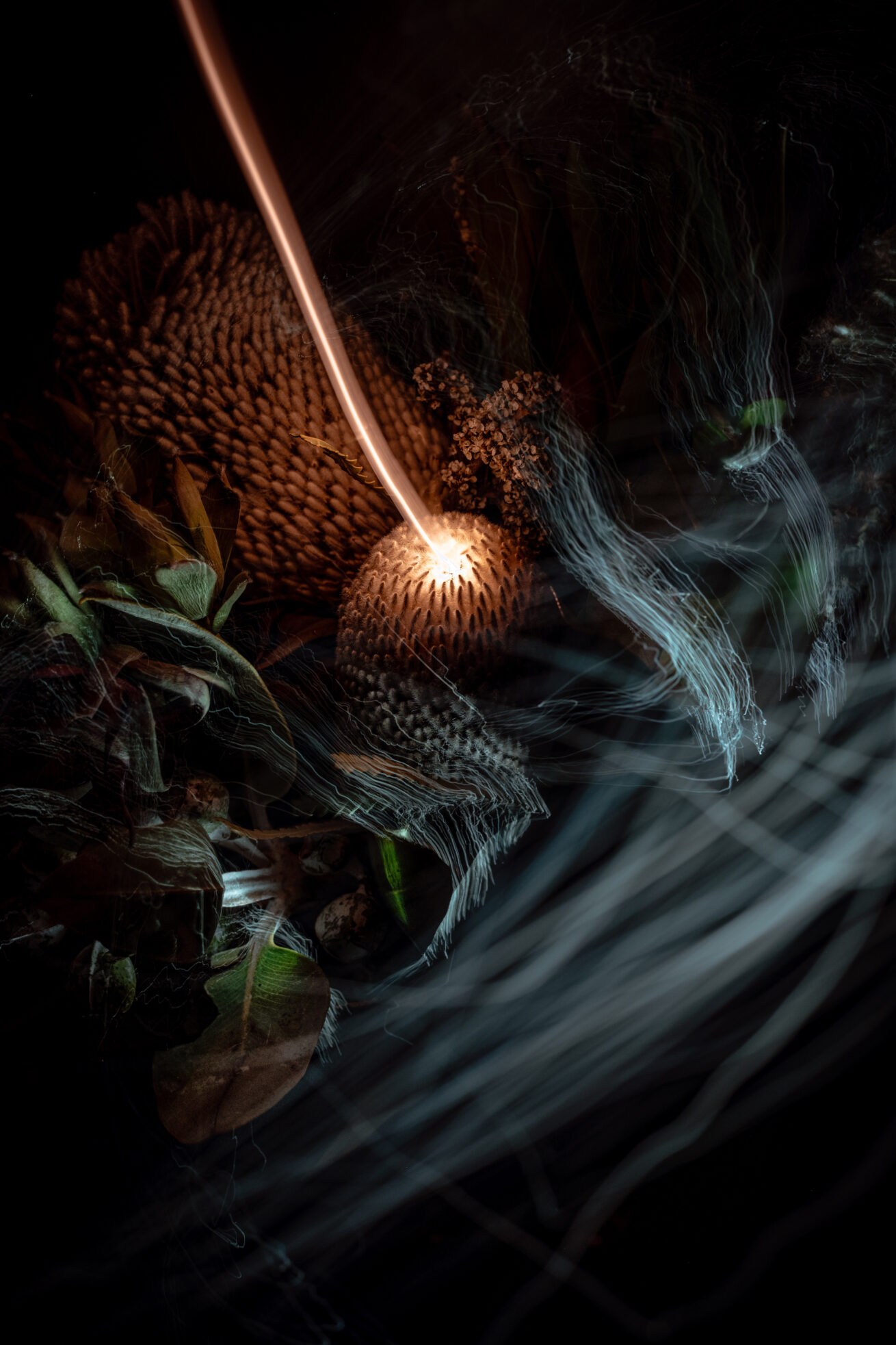 Art at Home Richmond - Mandy Smith - Home Apartments